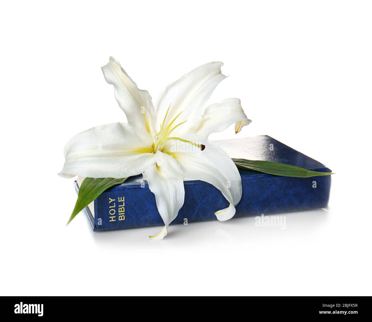 Holy Bible and Easter white lily on white background Stock Photo - Alamy