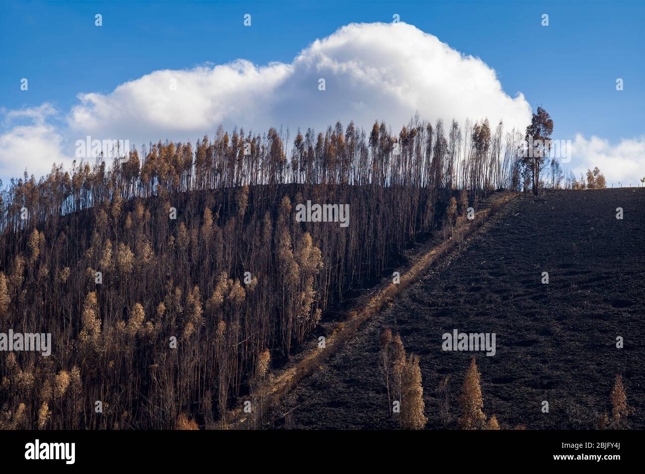 Slope fire hi-res stock photography and images - Alamy