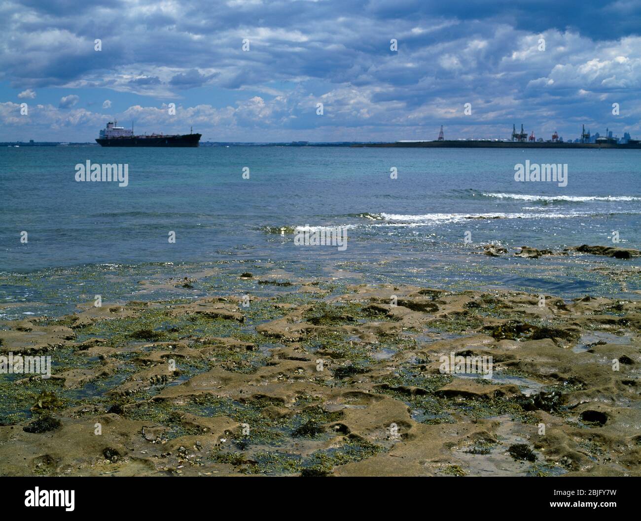 Botany nsw hi-res stock photography and images - Alamy