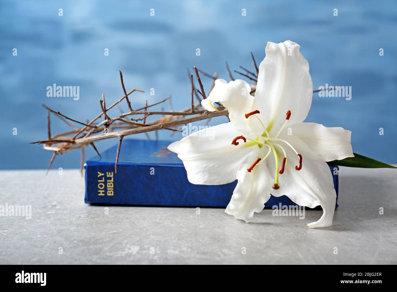 Holy Bible, lily and crown of thorns on light background Stock Photo ...