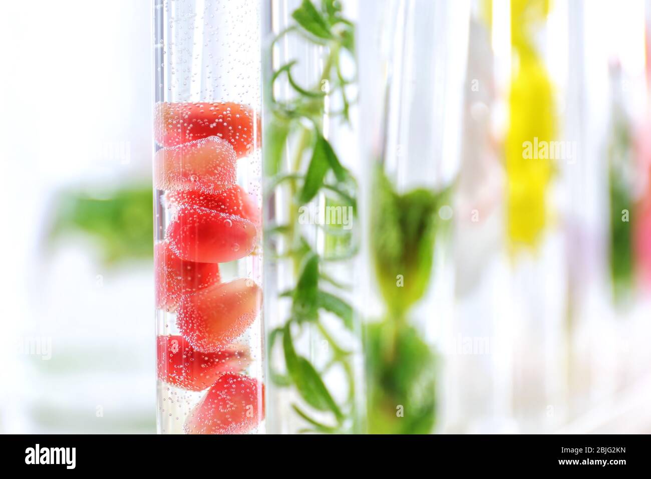 Test tubes with perfume samples, closeup Stock Photo - Alamy