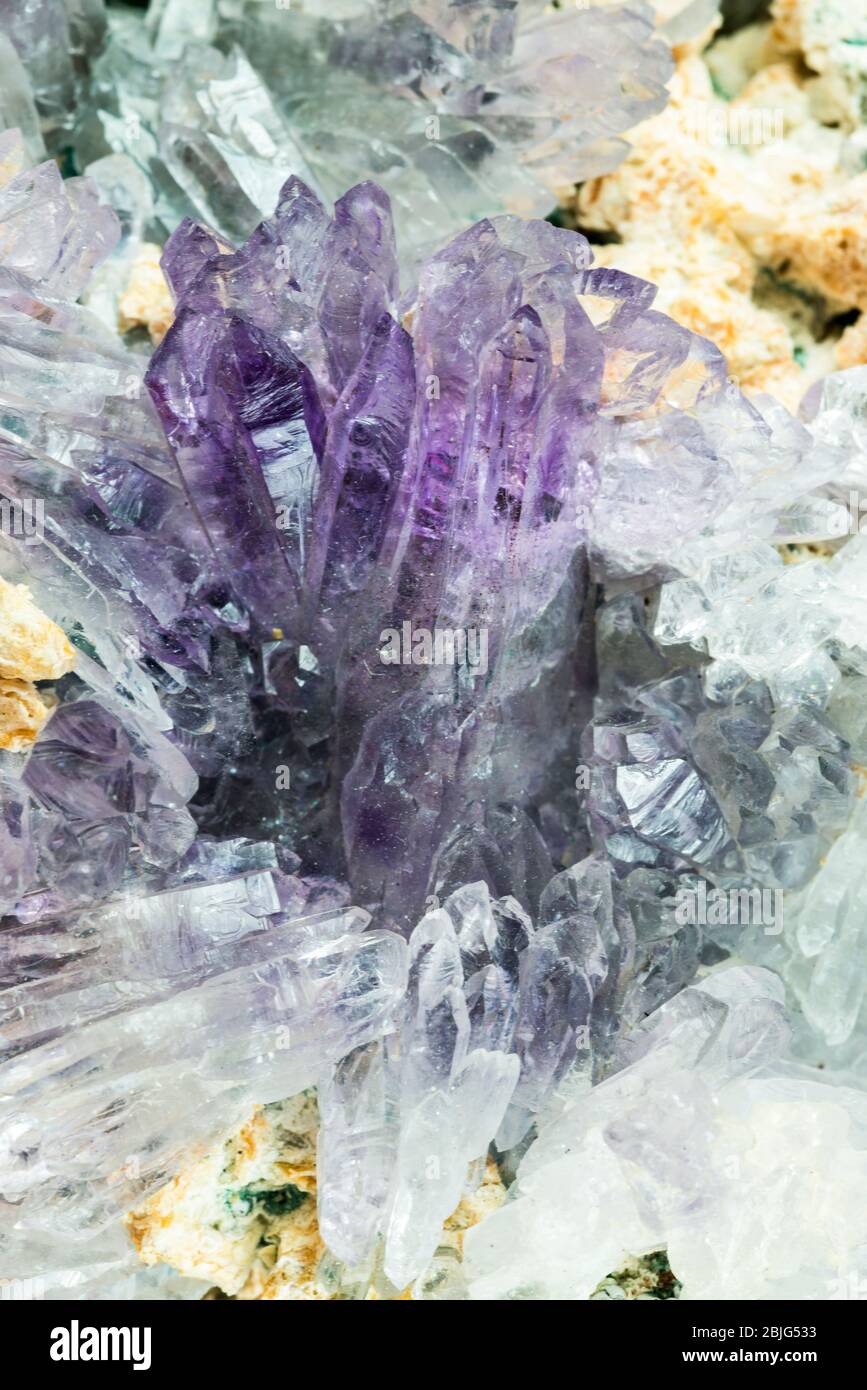 Smooth specimen hi-res stock photography and images - Alamy