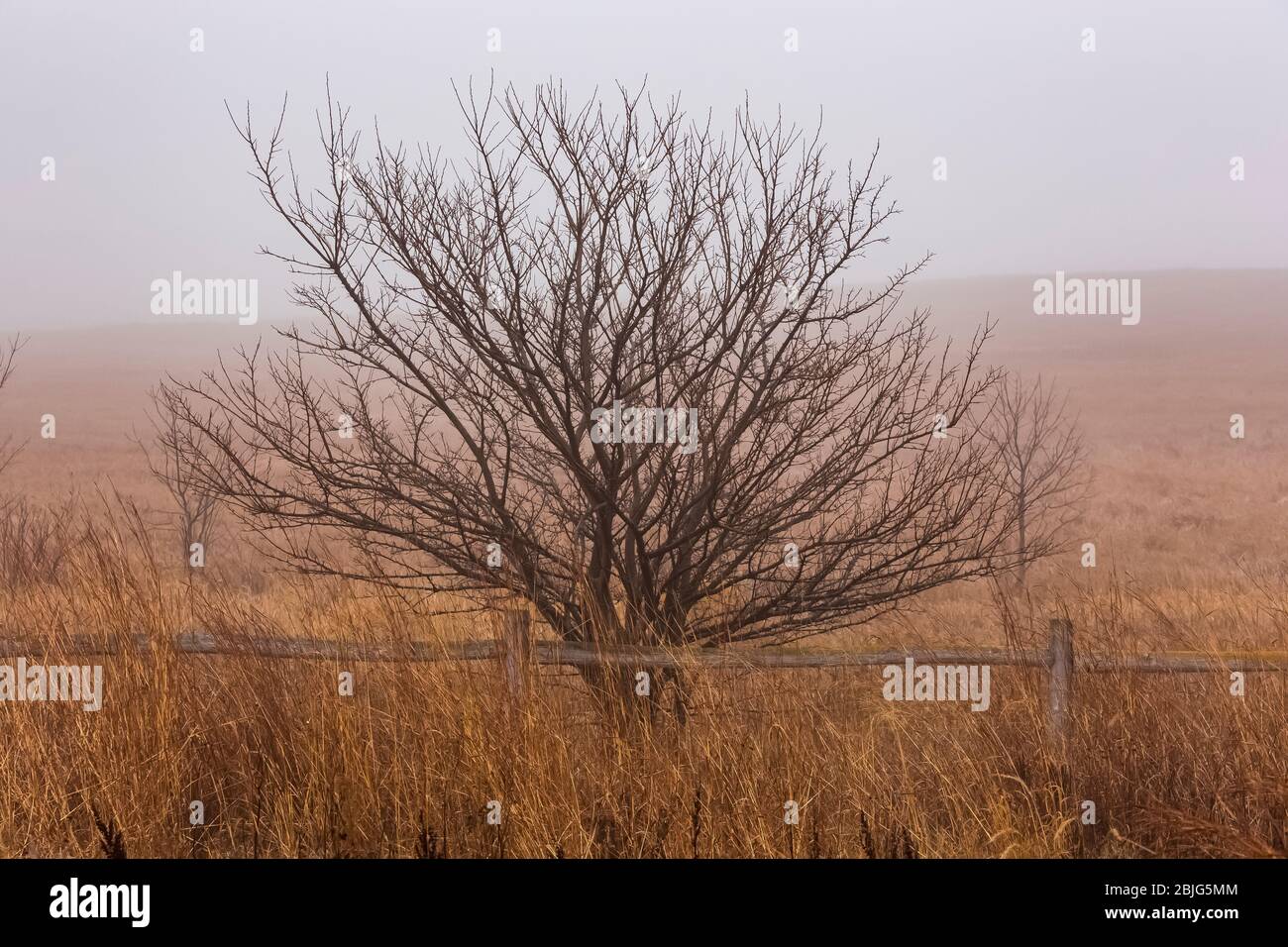 Prairie edge hi-res stock photography and images - Alamy