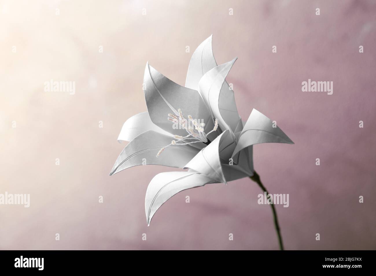 Beautiful paper lily on light background Stock Photo - Alamy