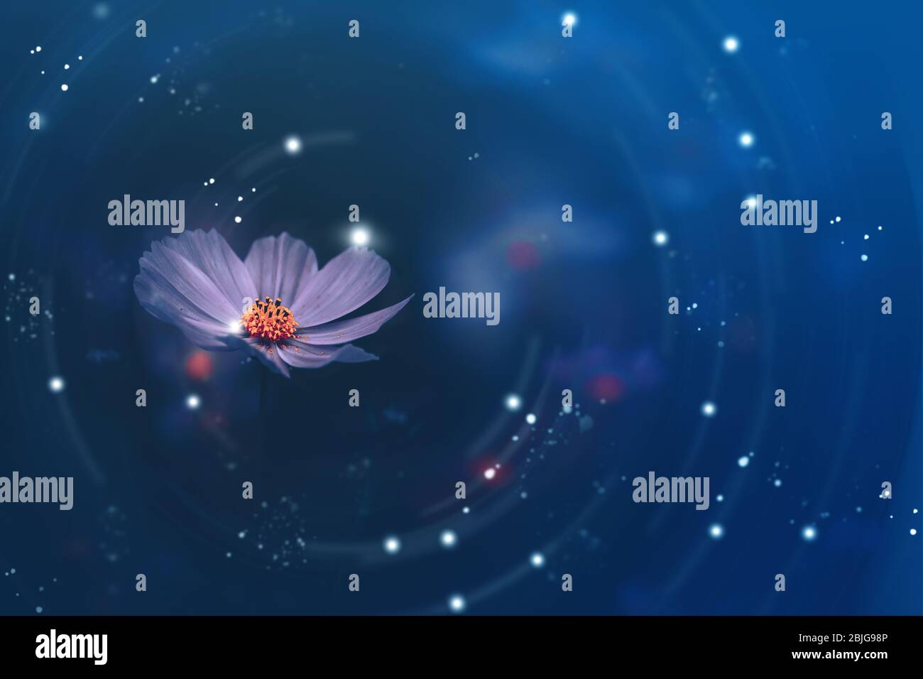 Dramatic flower background; Nature Background Stock Photo - Alamy