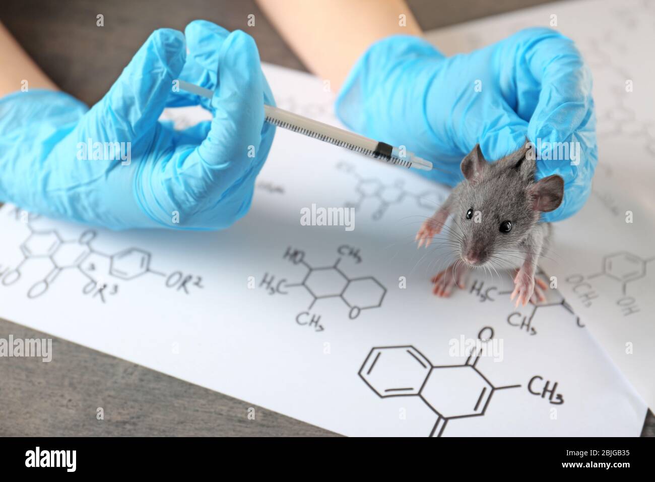 Animal injection mouse hi-res stock photography and images - Alamy