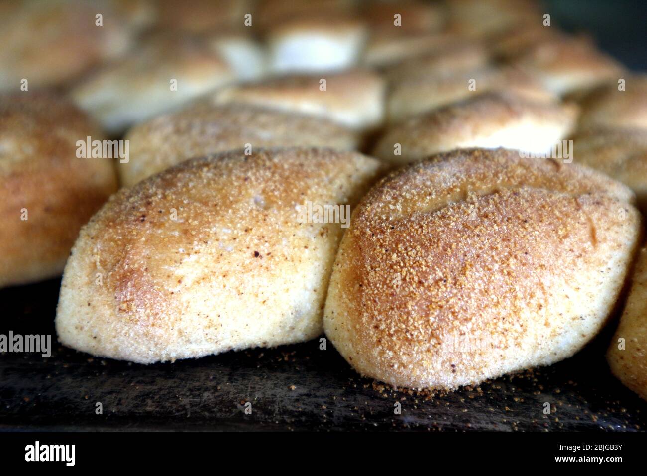 Photo of freshly baked Filipino bread called Pan de sal or Bread of ...