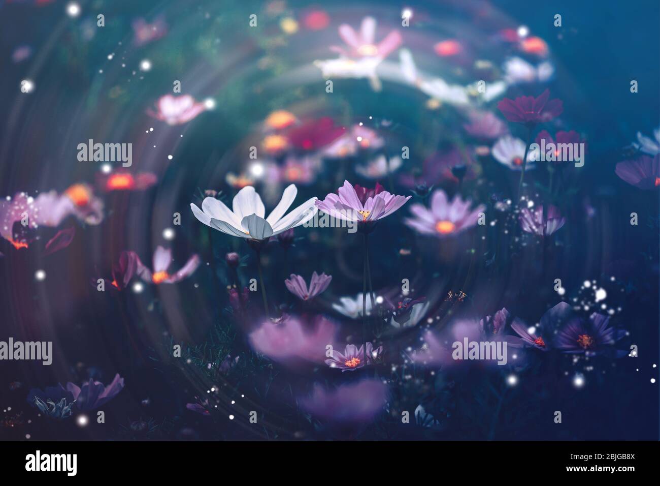 Dramatic flower background; Nature Background Stock Photo - Alamy