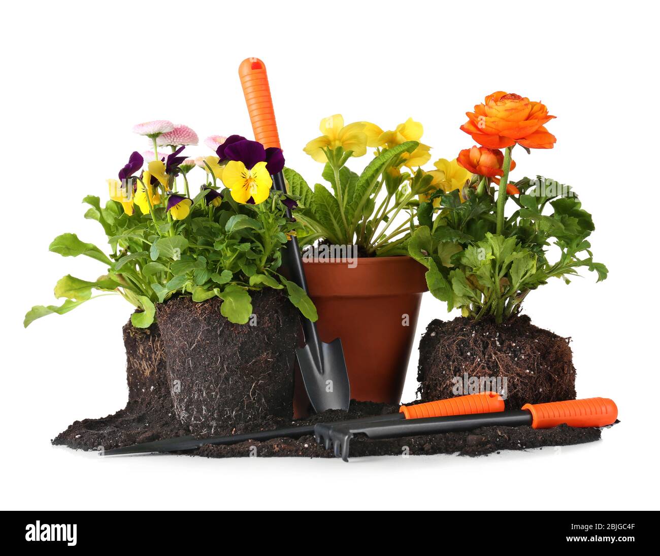 Planting plants floral composition Cut Out Stock Images & Pictures - Alamy