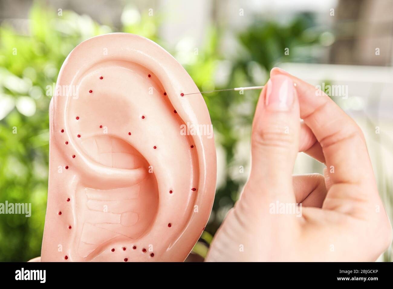 Hand of woman sticking needle for acupuncture into plastic mockup of ...