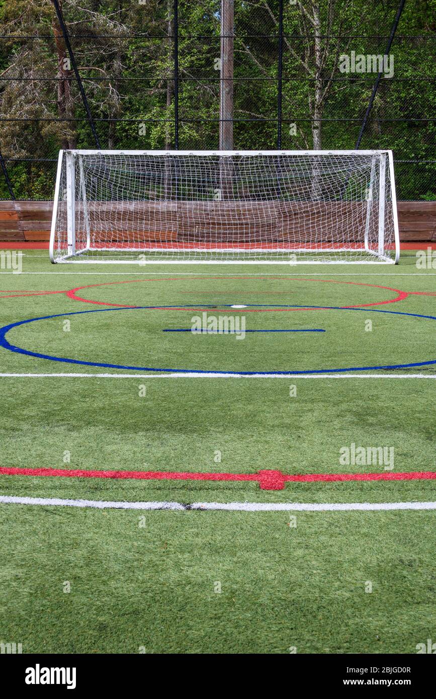 Local sports field with markings and field goal, synthetic grass Stock ...