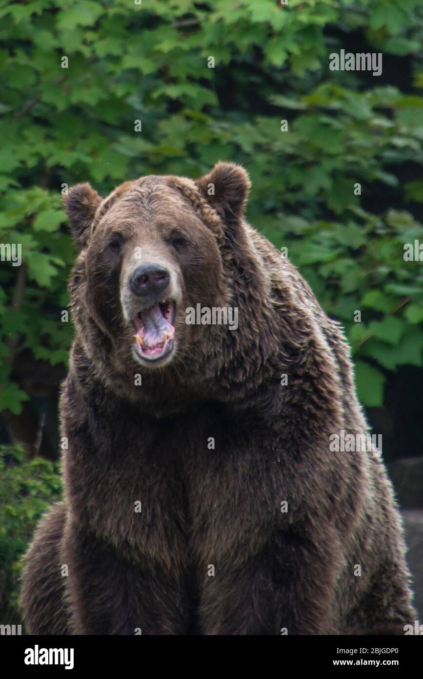 Milwaukee County Zoo Stock Photo - Alamy