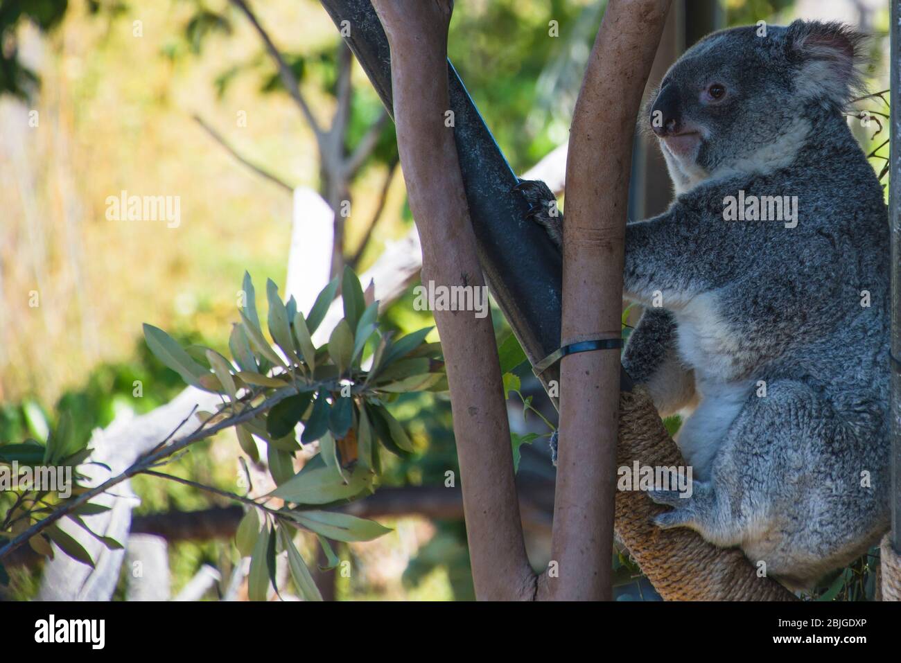 Milwaukee County Zoo Stock Photo - Alamy