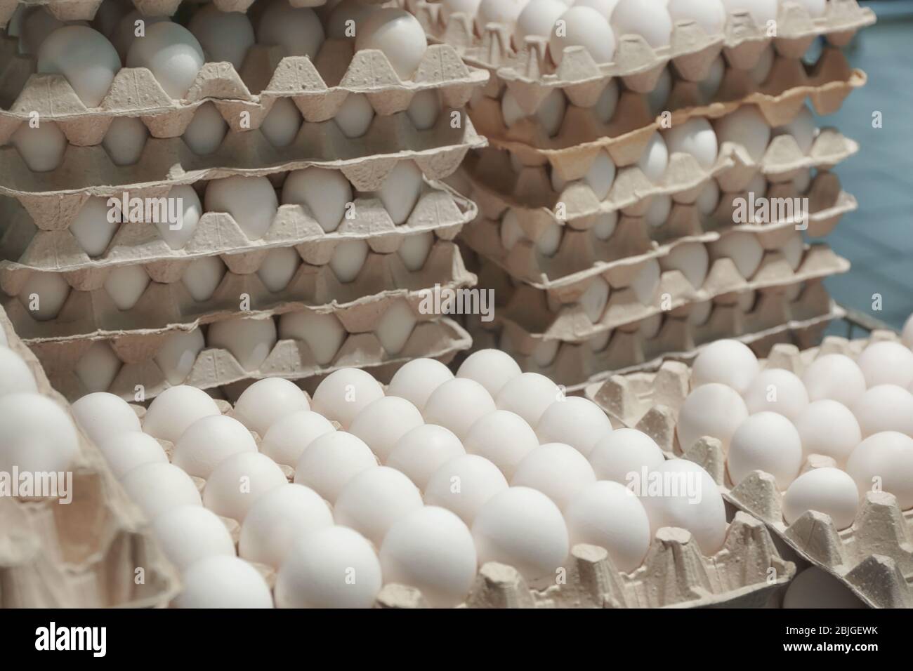 Trays with chicken eggs on storage Stock Photo - Alamy