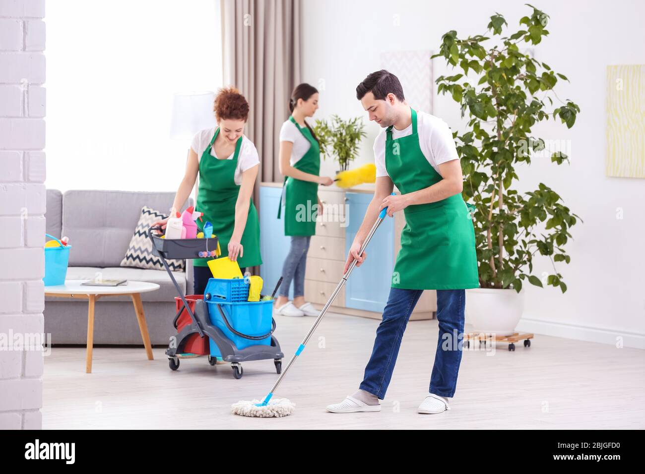 Cleaning service team working in living room Stock Photo - Alamy