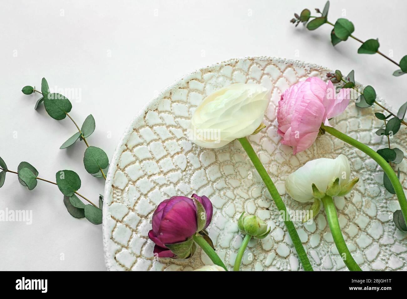 Beautiful fresh ranunculus flowers on white background Stock Photo - Alamy