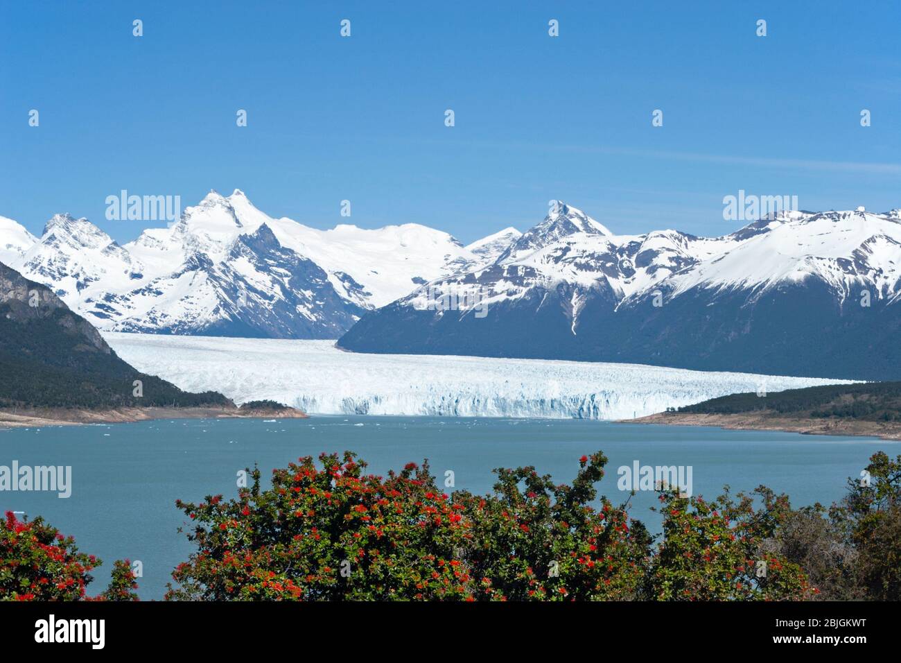 Perito Moreno Glacier terminus flowing into Lago Argentino with ...