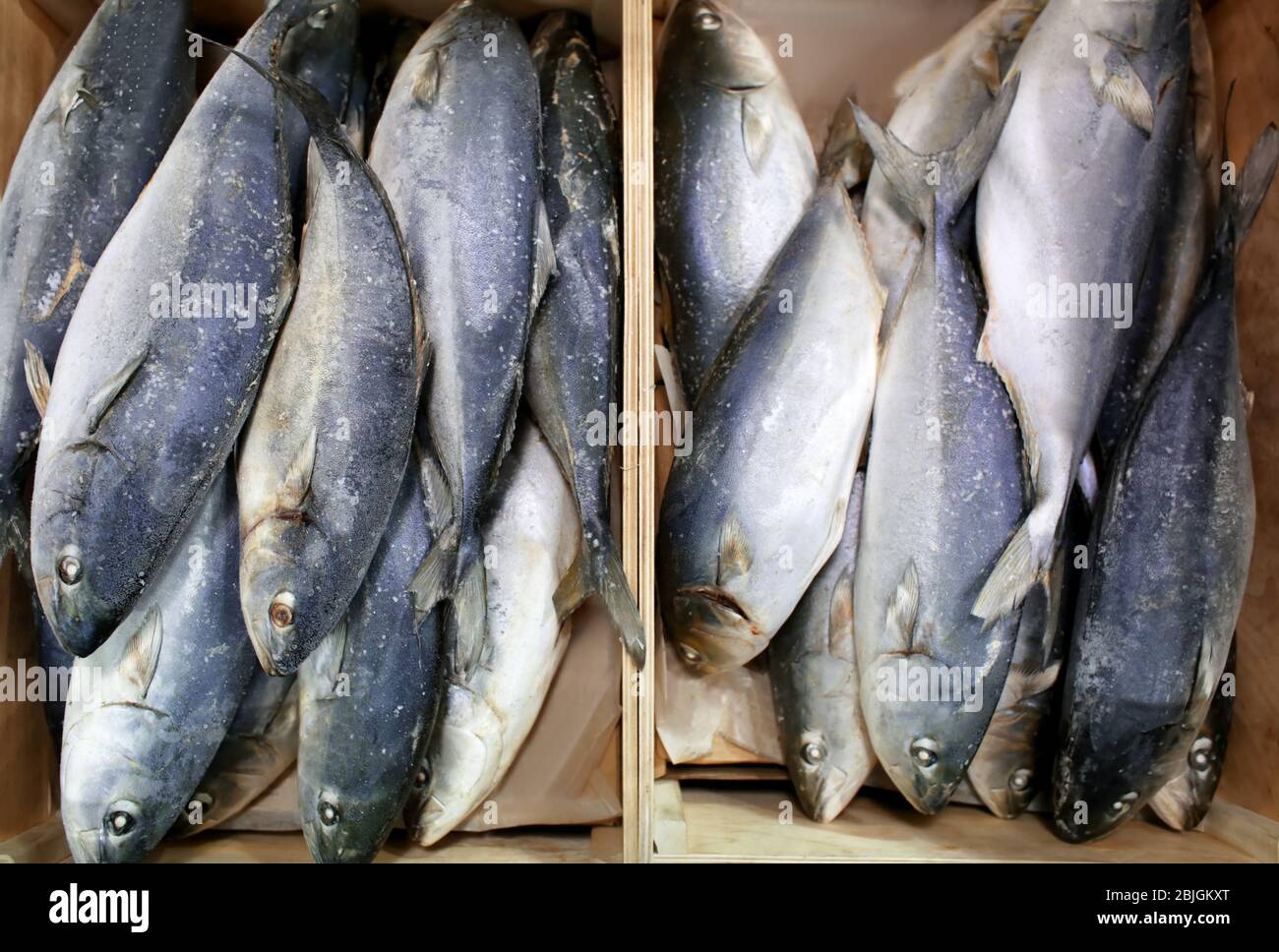 Frozen fish in supermarket Stock Photo - Alamy