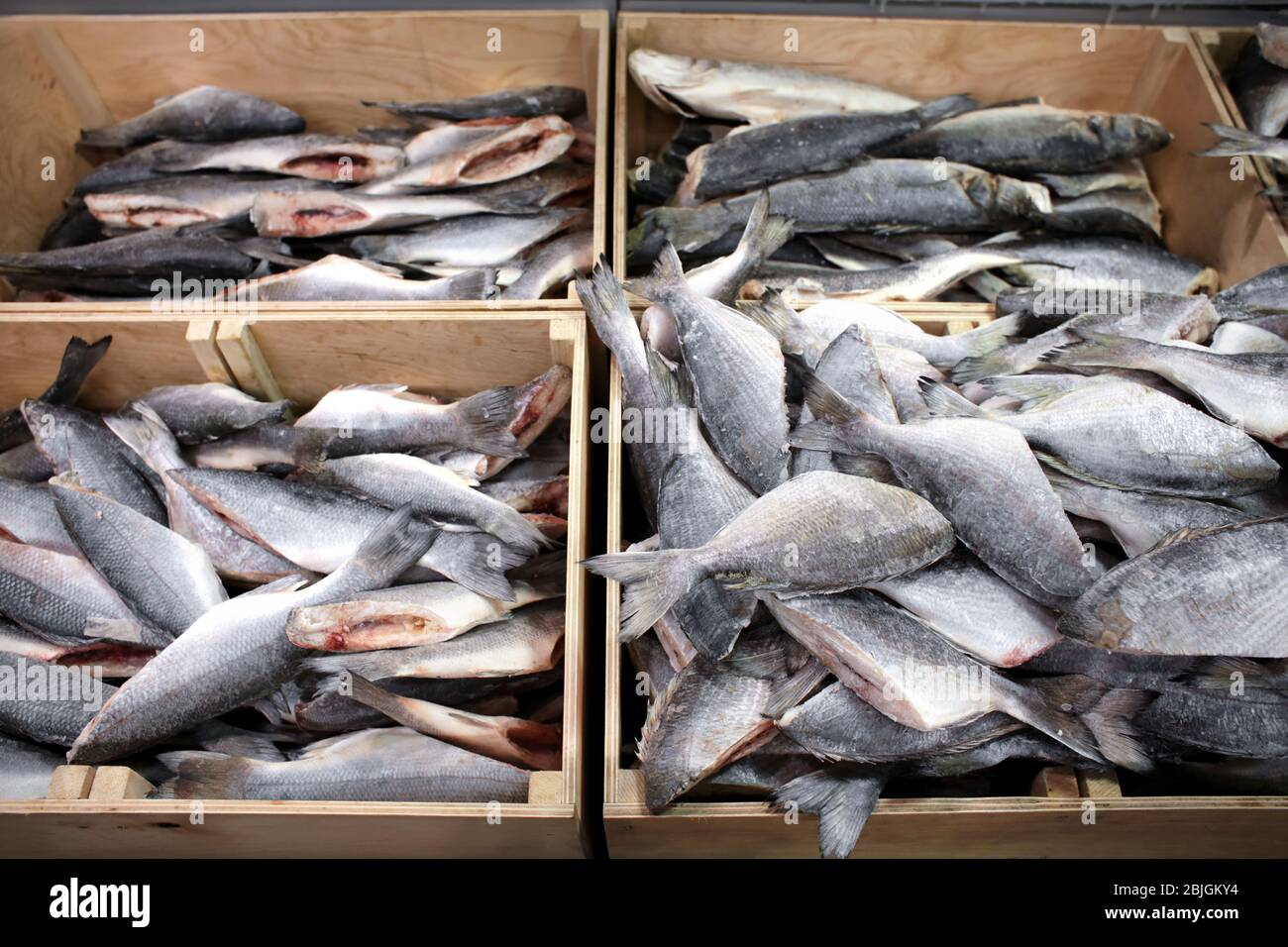 Frozen fish in supermarket Stock Photo - Alamy