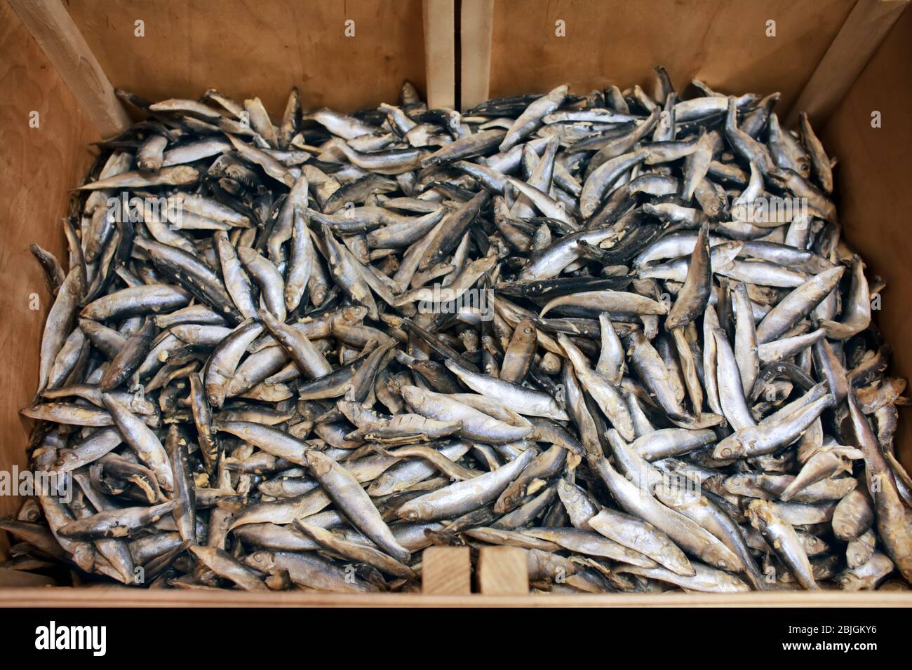 Frozen fish in supermarket Stock Photo - Alamy