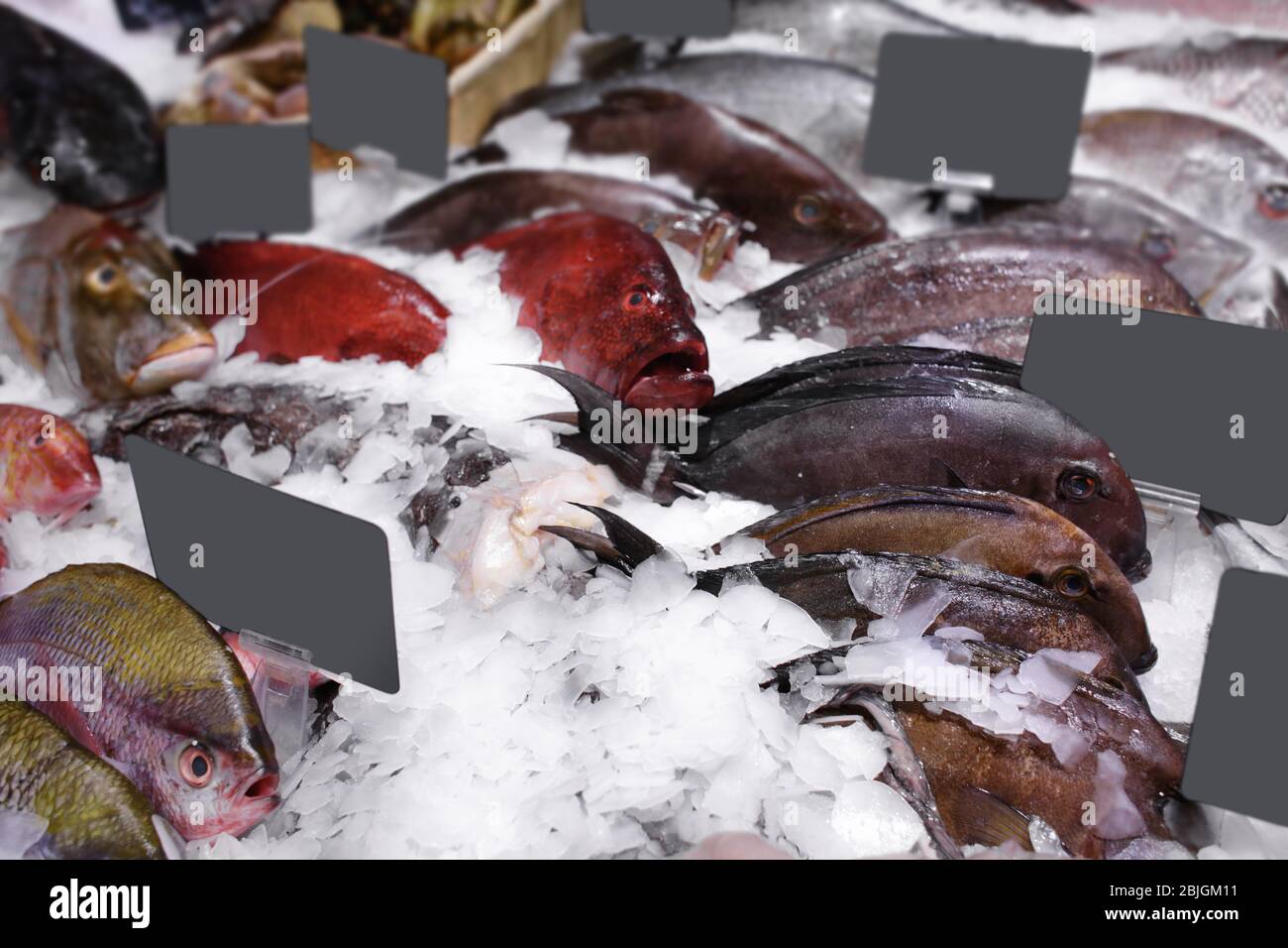 Fresh fish in supermarket Stock Photo - Alamy