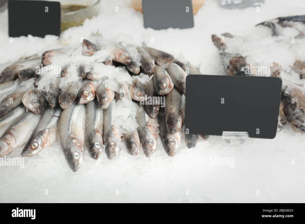 Ice goby hi-res stock photography and images - Alamy