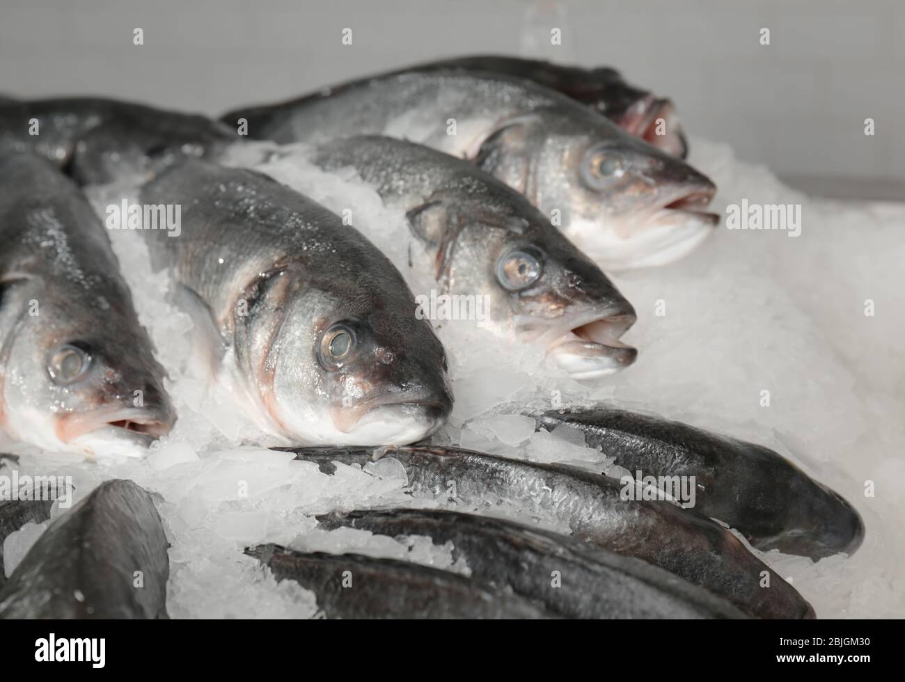 Fresh fish in supermarket Stock Photo - Alamy