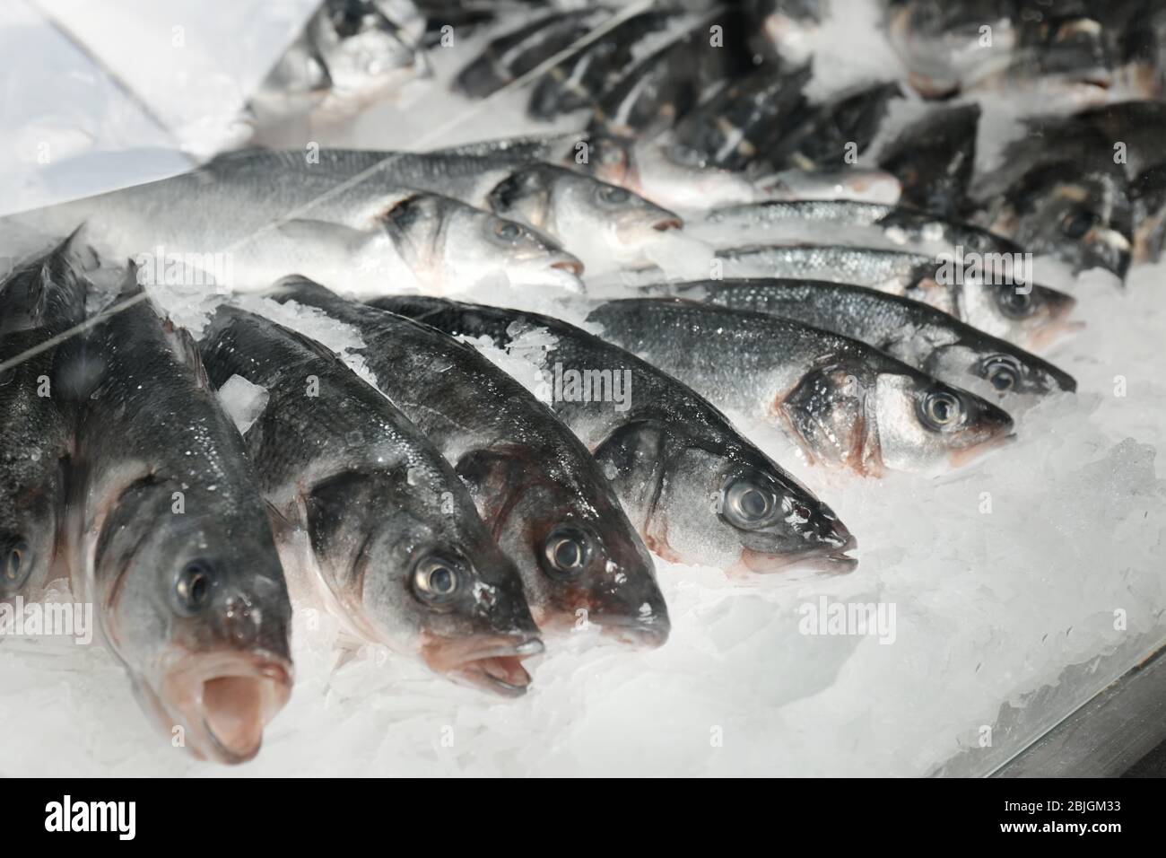 Fresh fish in supermarket Stock Photo - Alamy