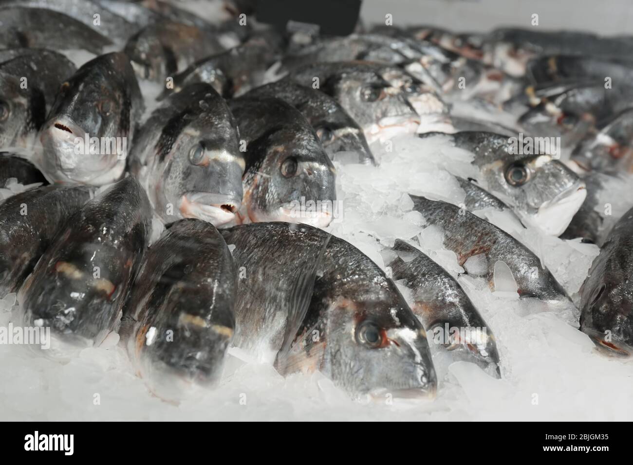 Fresh fish in supermarket Stock Photo - Alamy