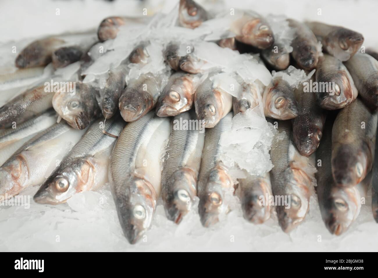 Ice goby hi-res stock photography and images - Alamy