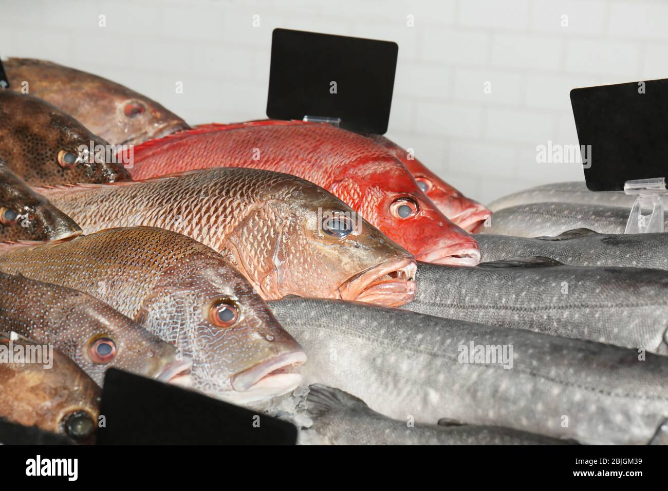 Fresh fish in supermarket Stock Photo - Alamy