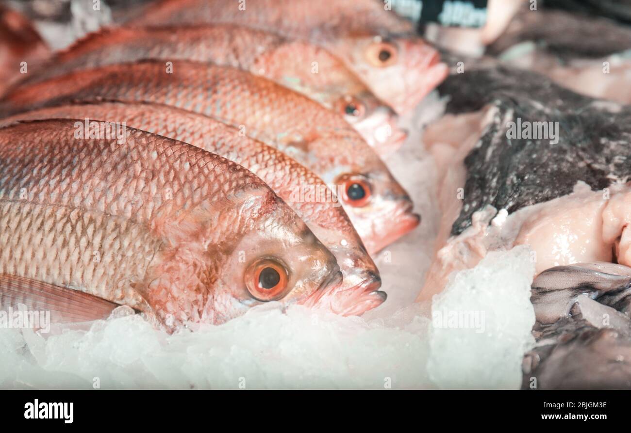Fresh fish in supermarket Stock Photo - Alamy