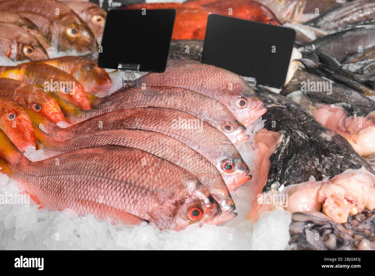 Fresh fish in supermarket Stock Photo - Alamy