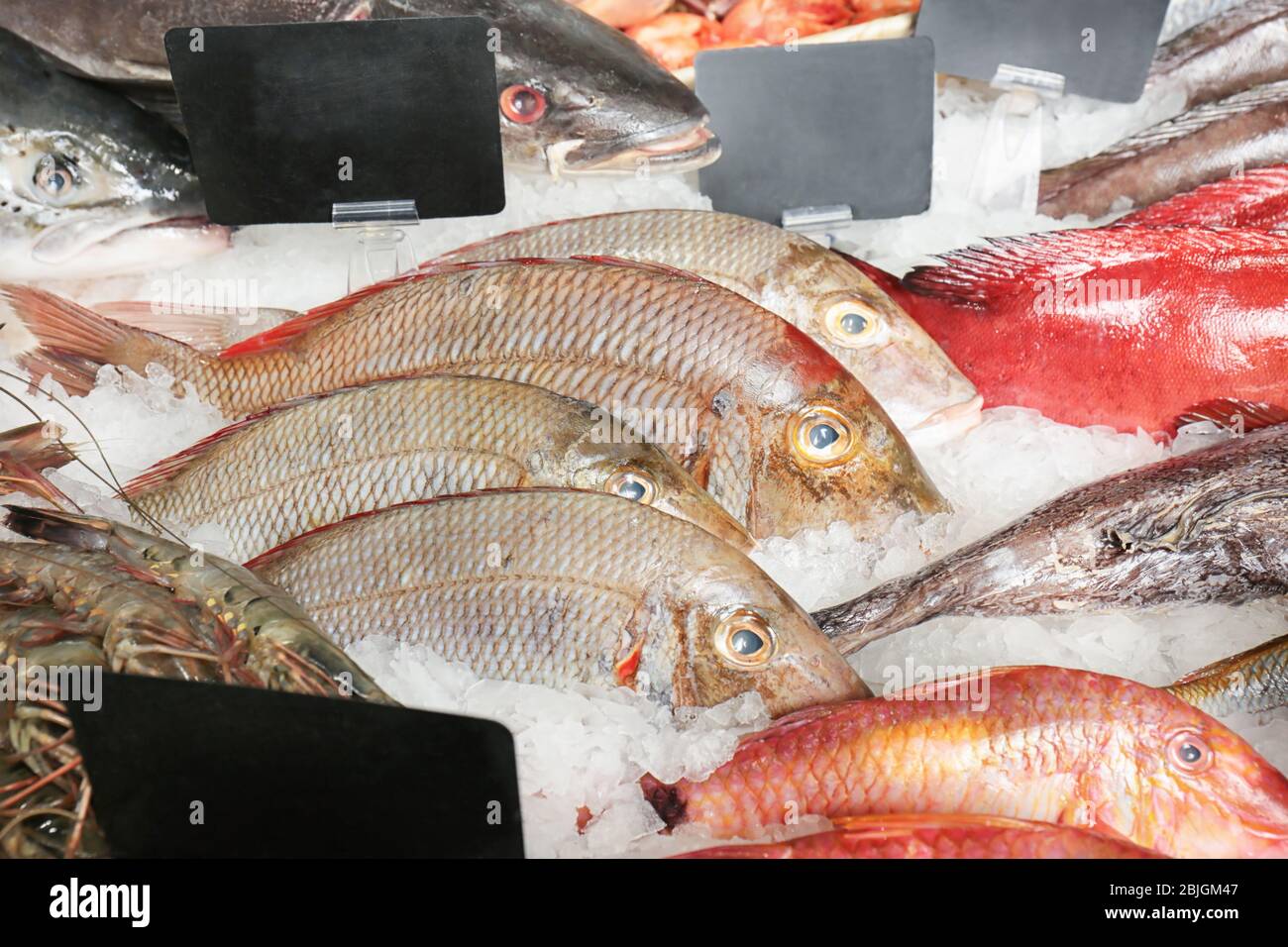 Fresh fish in supermarket Stock Photo - Alamy