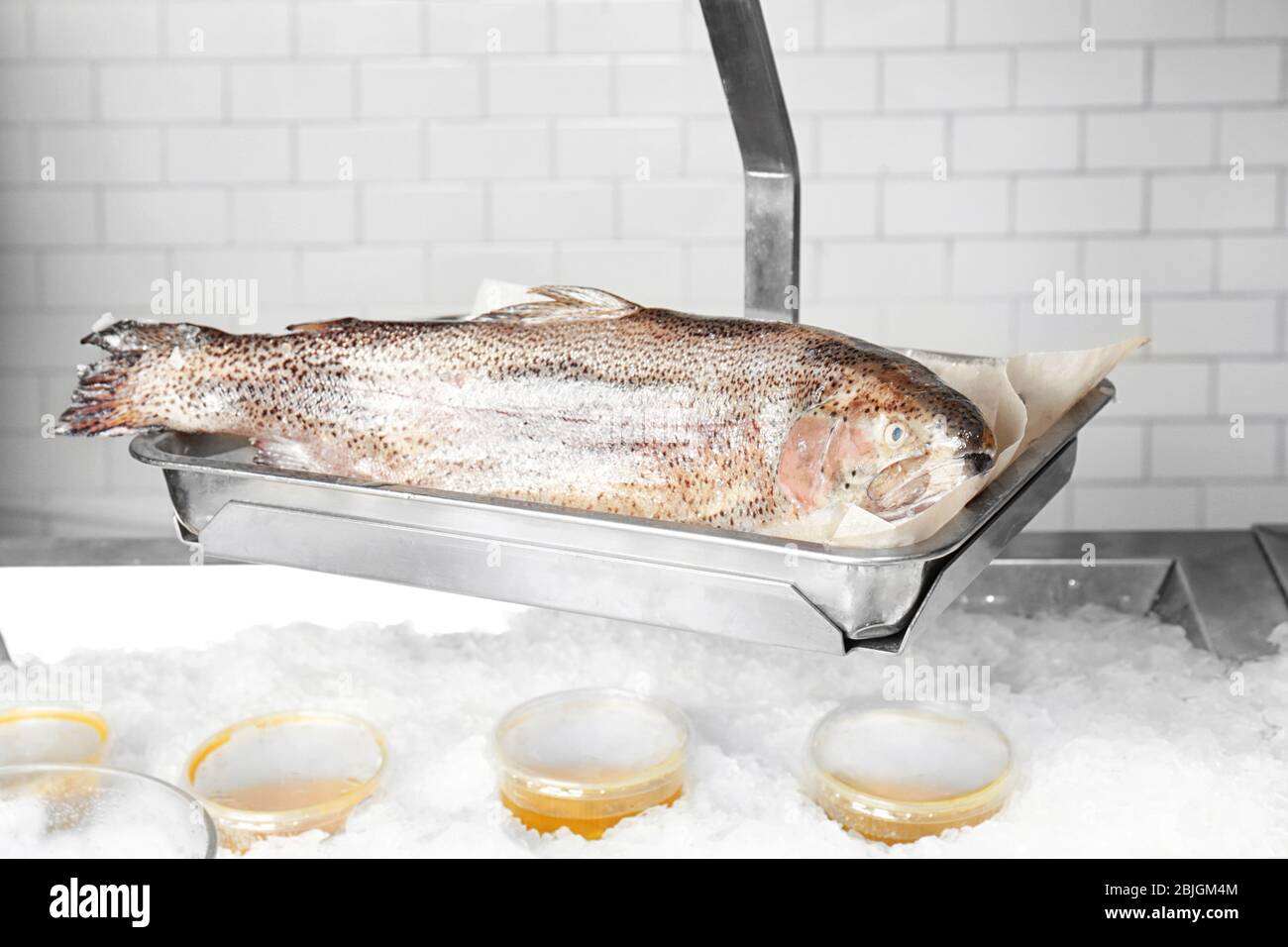 Showcase fresh sea trout fish hi-res stock photography and images - Alamy