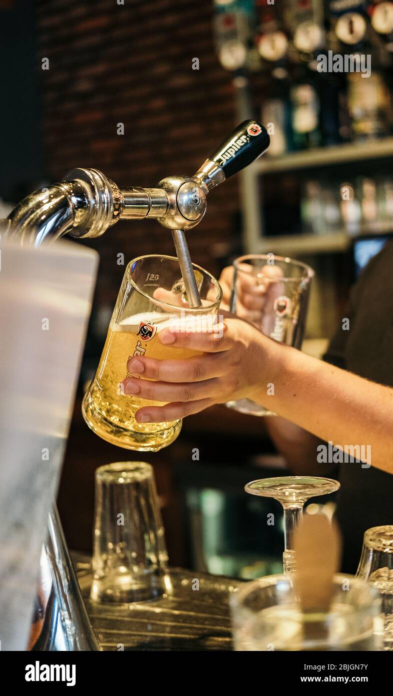 Bartender pouring a draft beer from tap Stock Photo - Alamy