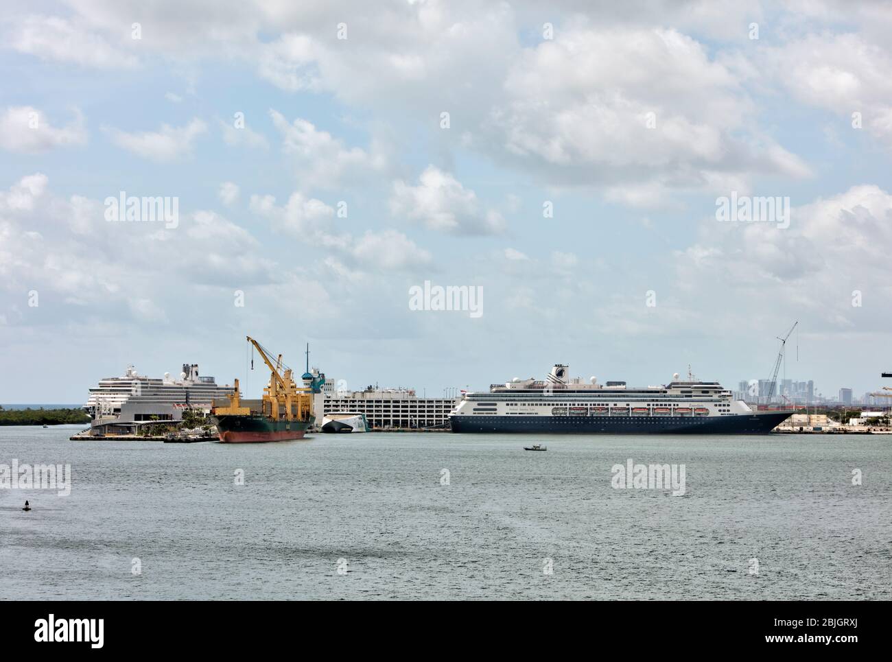 Cruise ships docked at Port Everglades Port during the lock-down on ...