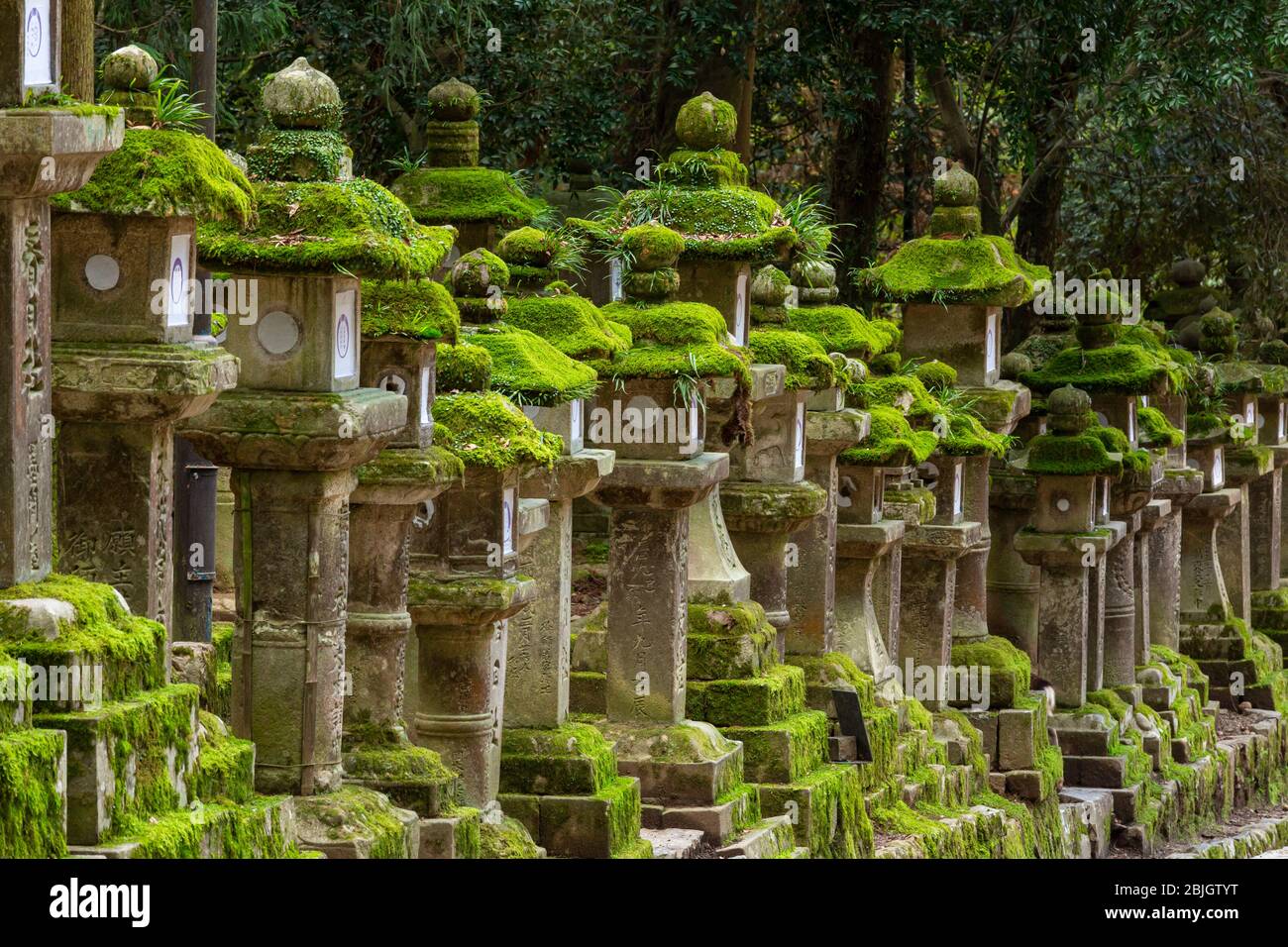 Moss covered lanterns hi-res stock photography and images - Alamy