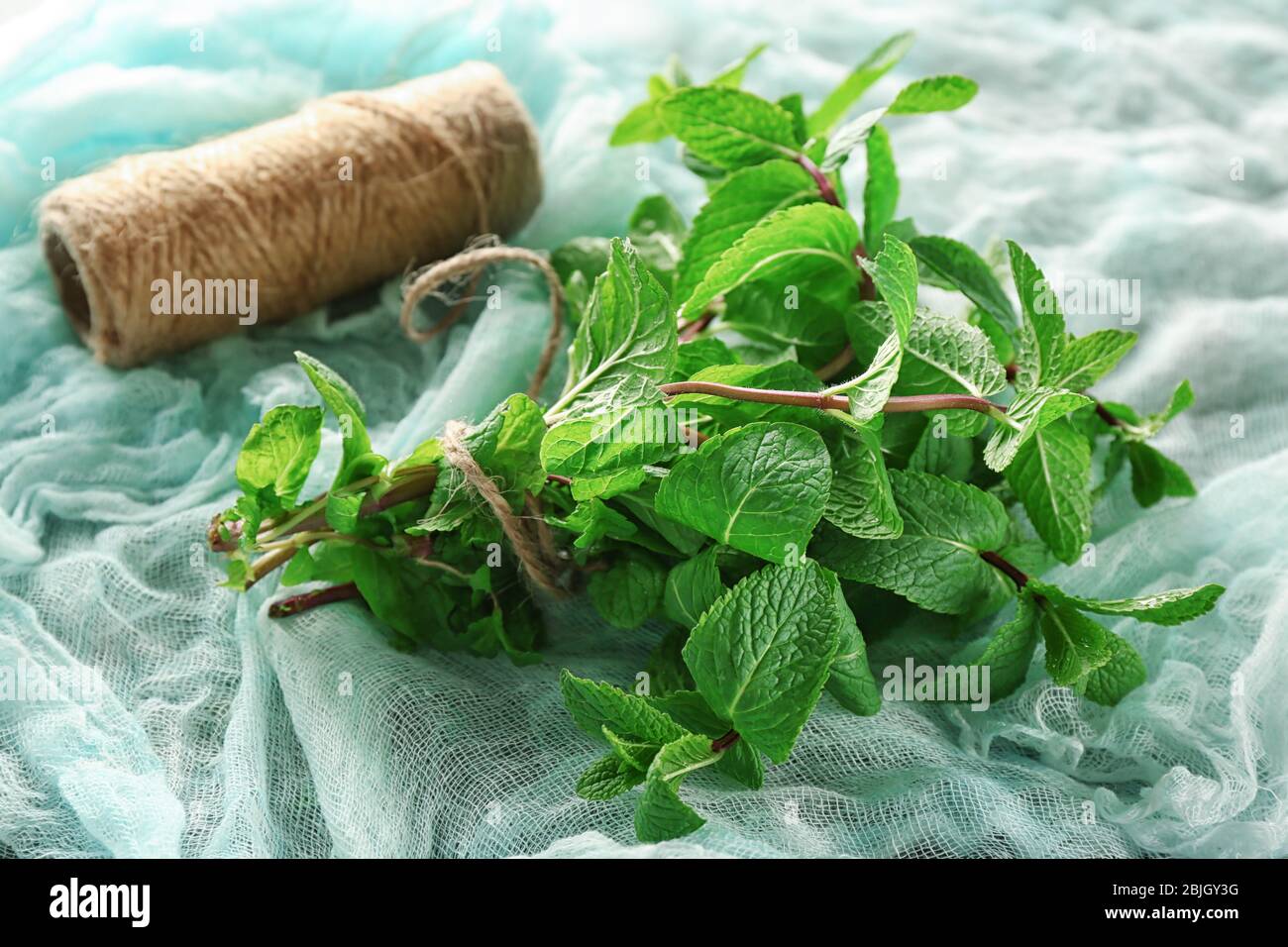 Gauze leaf hi-res stock photography and images - Alamy