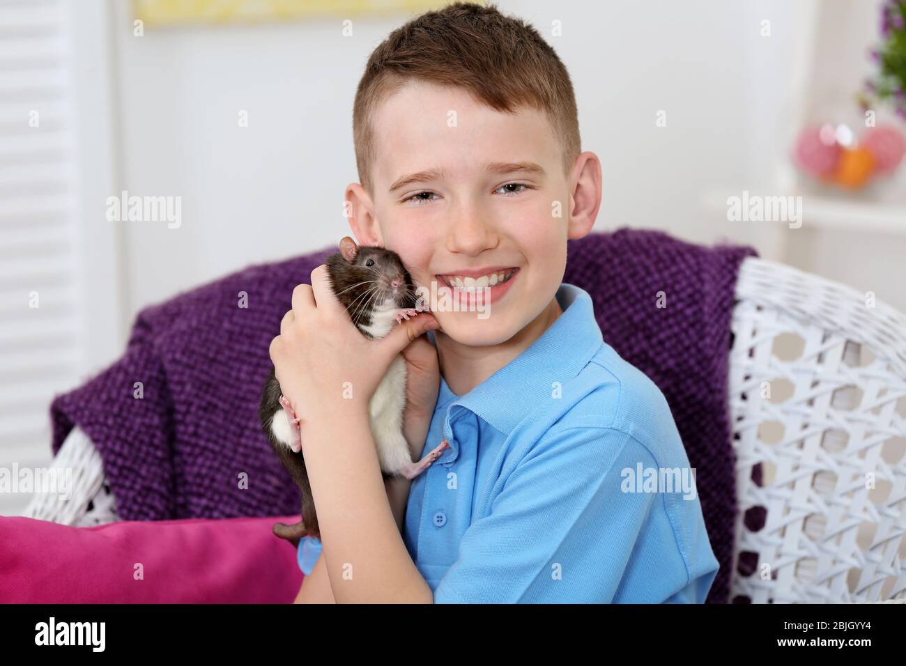Cute boy with funny rat at home Stock Photo - Alamy