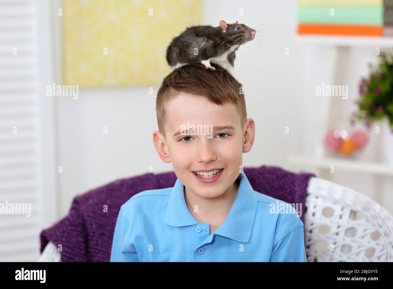 Cute boy with funny rat at home Stock Photo - Alamy