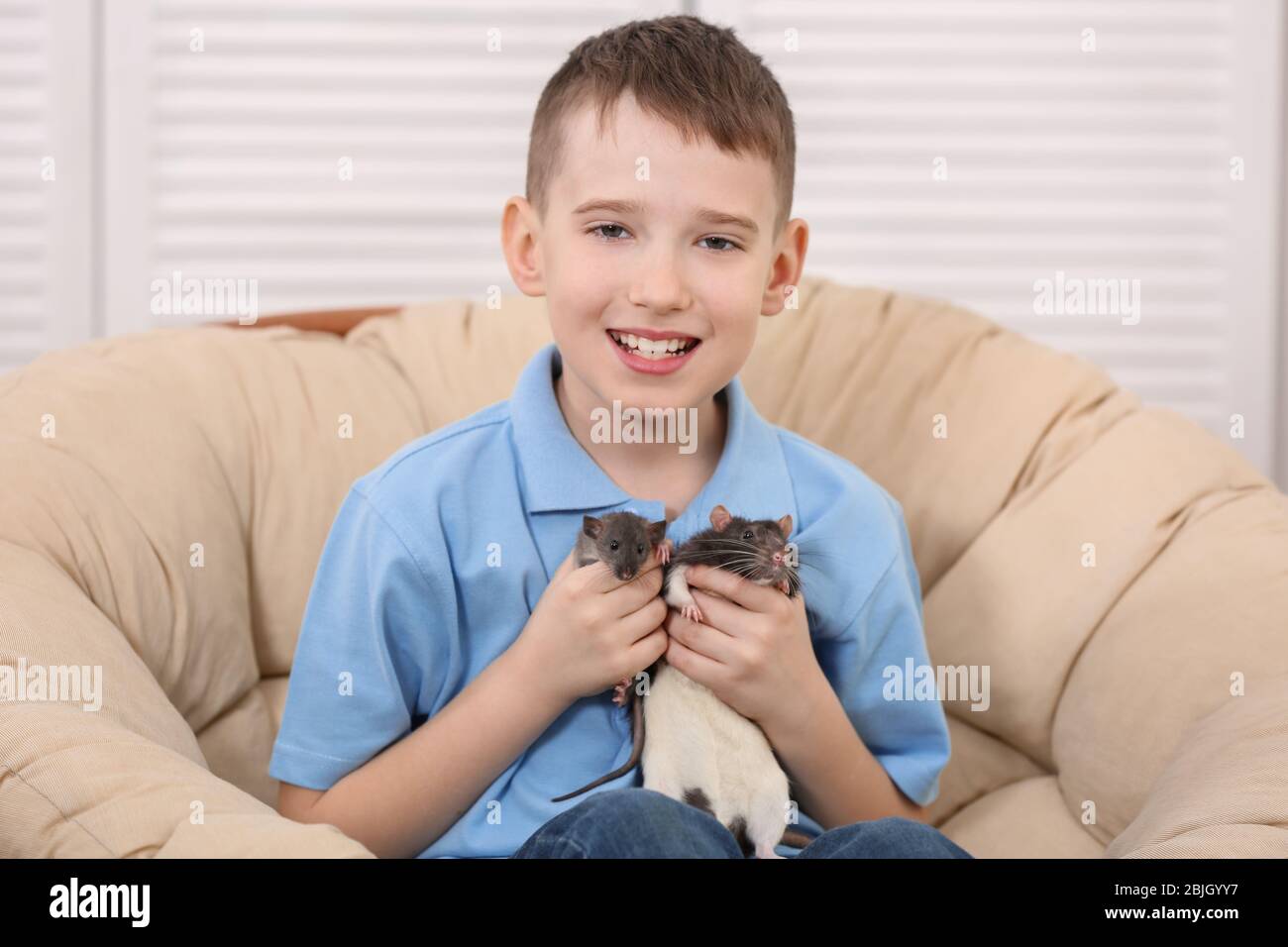 Cute boy with funny rats at home Stock Photo - Alamy
