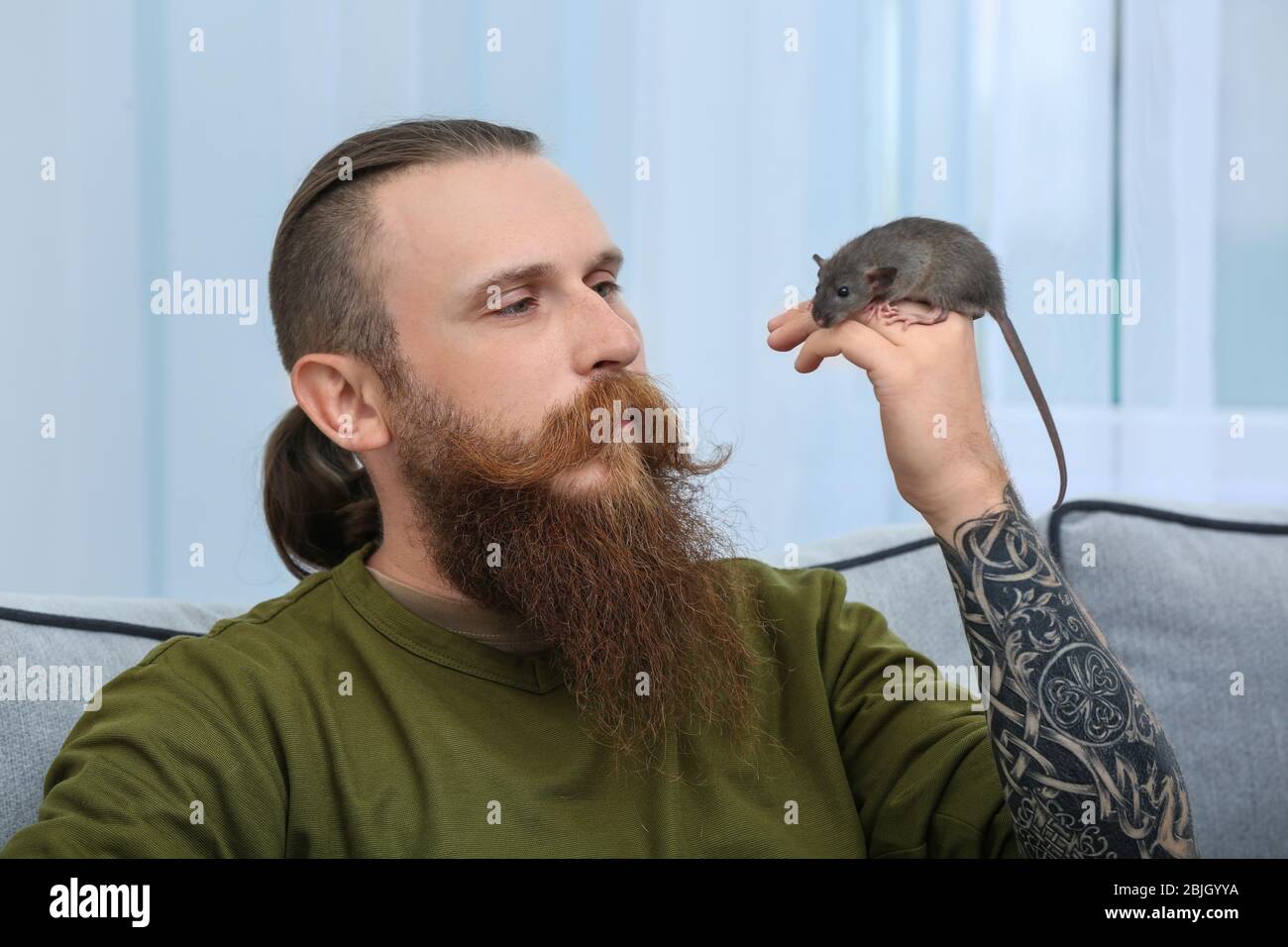 Bearded man with funny rat at home Stock Photo - Alamy