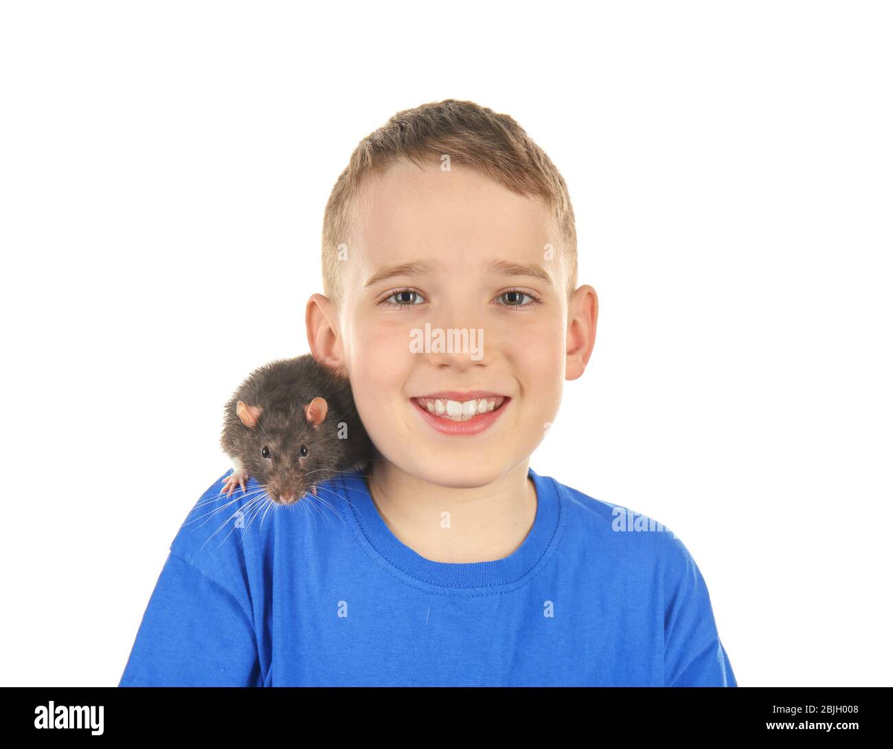 Cute boy with funny rat on white background Stock Photo - Alamy