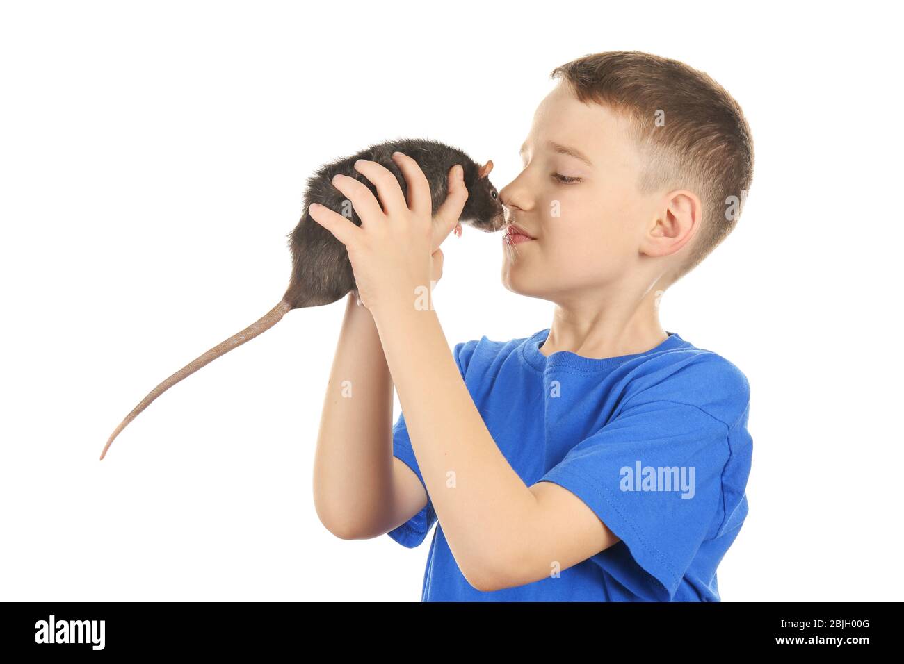 Cute boy with funny rat on white background Stock Photo - Alamy