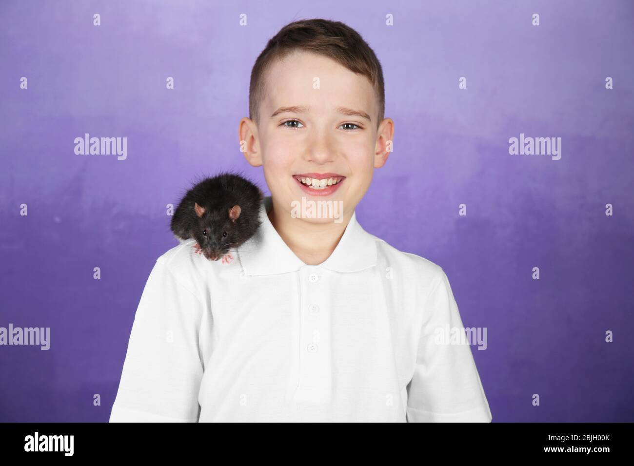 Cute boy with funny rat on color background Stock Photo - Alamy