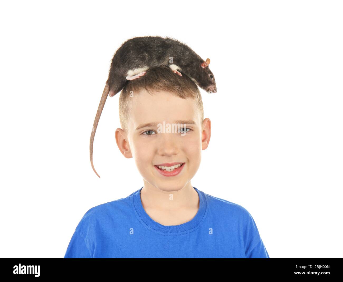 Cute boy with funny rat on white background Stock Photo - Alamy