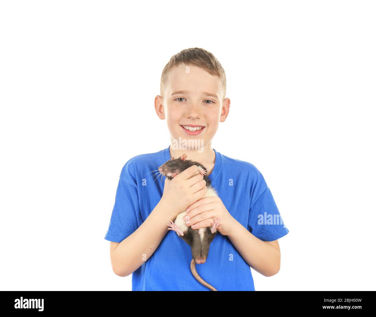 Cute boy with funny rat on white background Stock Photo - Alamy