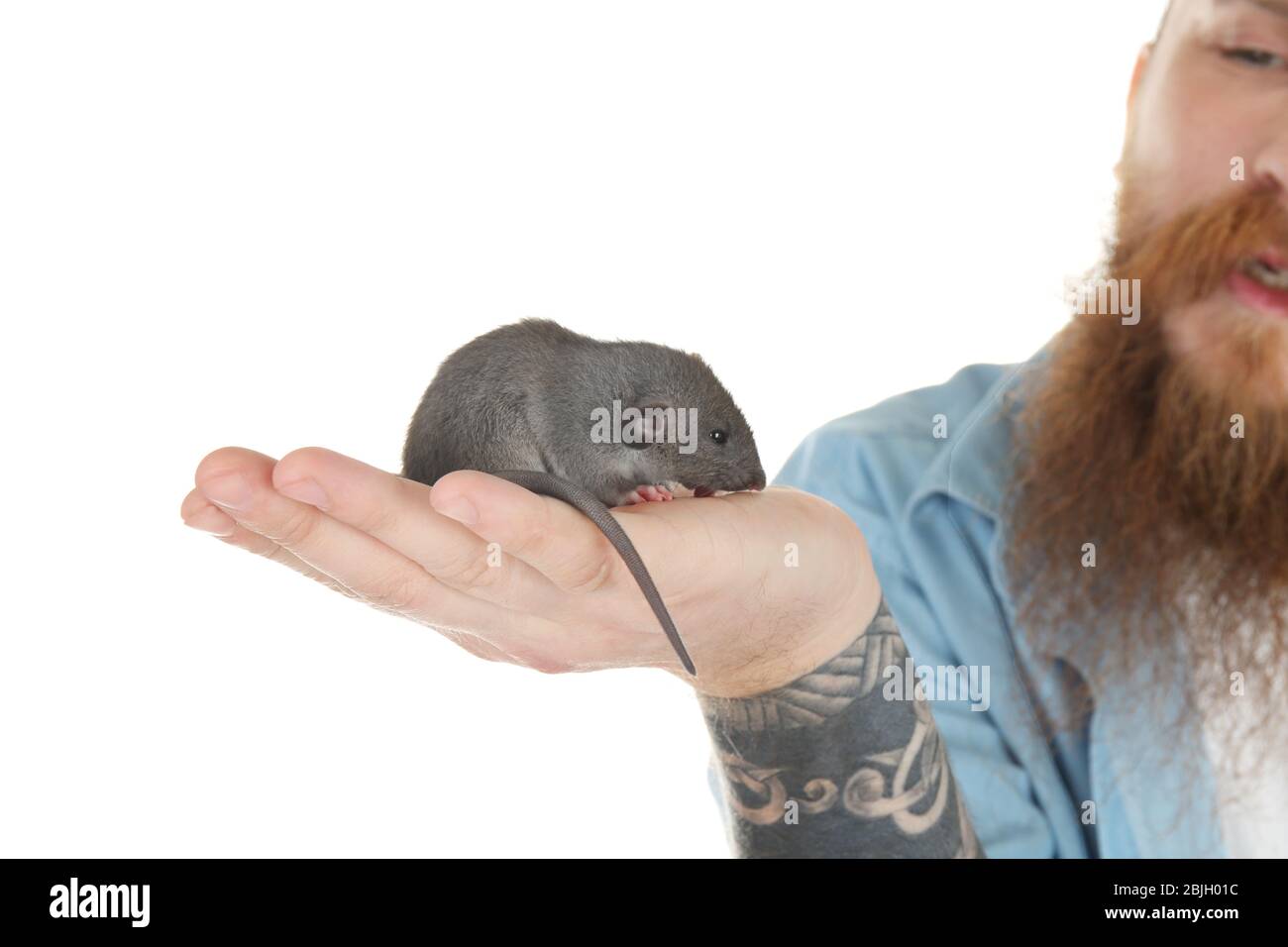 Man with funny rat on white background, closeup Stock Photo - Alamy