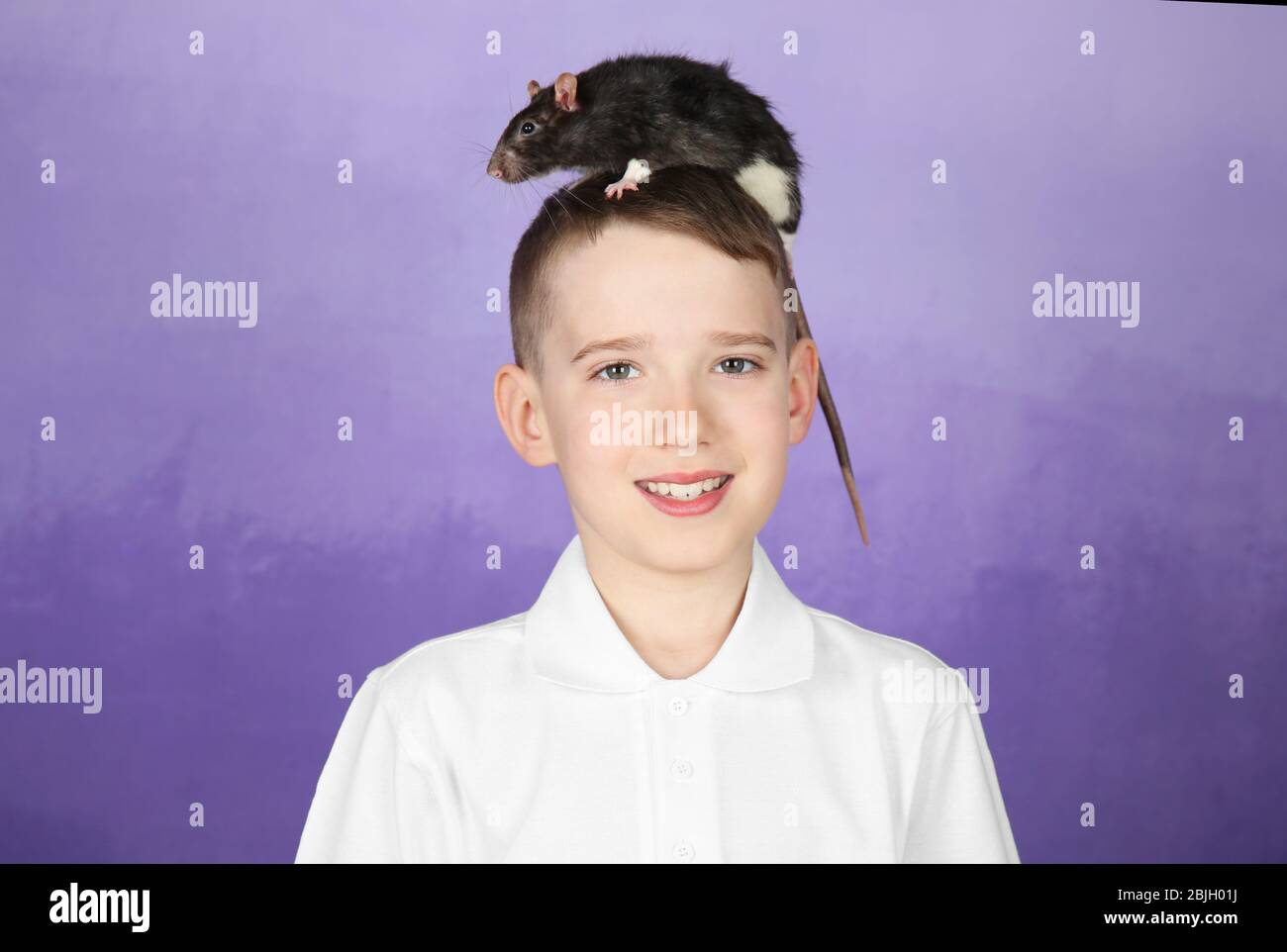 Cute boy with funny rat on color background Stock Photo - Alamy